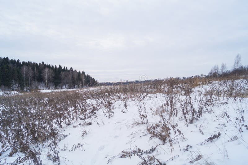 Fondo Di Inverno, Neve Di Caduta Fotografia Stock - Immagine di ...