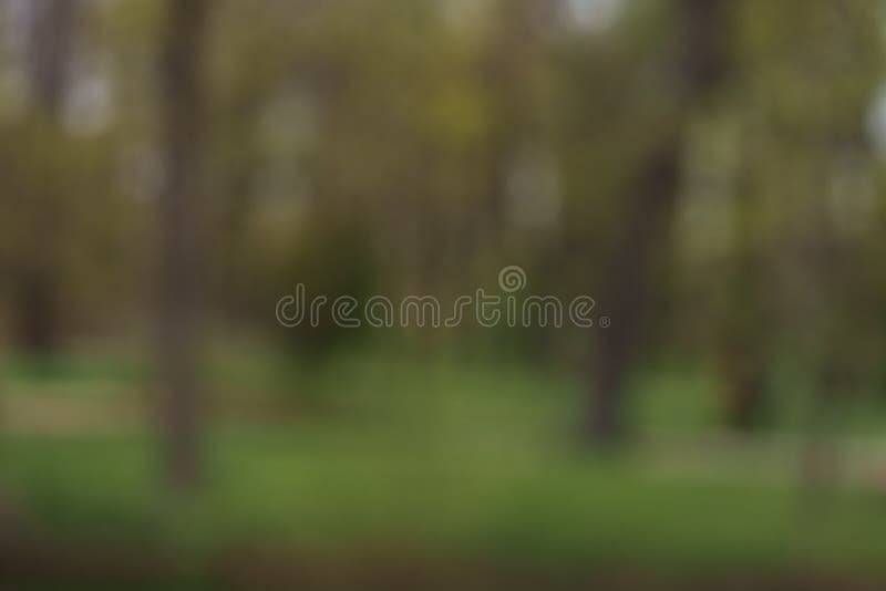 Fondo Exterior Borroso Del Bosque Imagen de archivo - Imagen de ...