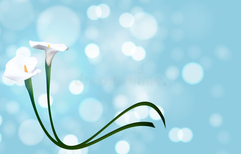 Fondo Floral Abstracto Con La Flor De La Cala Vector Ilustración del ...