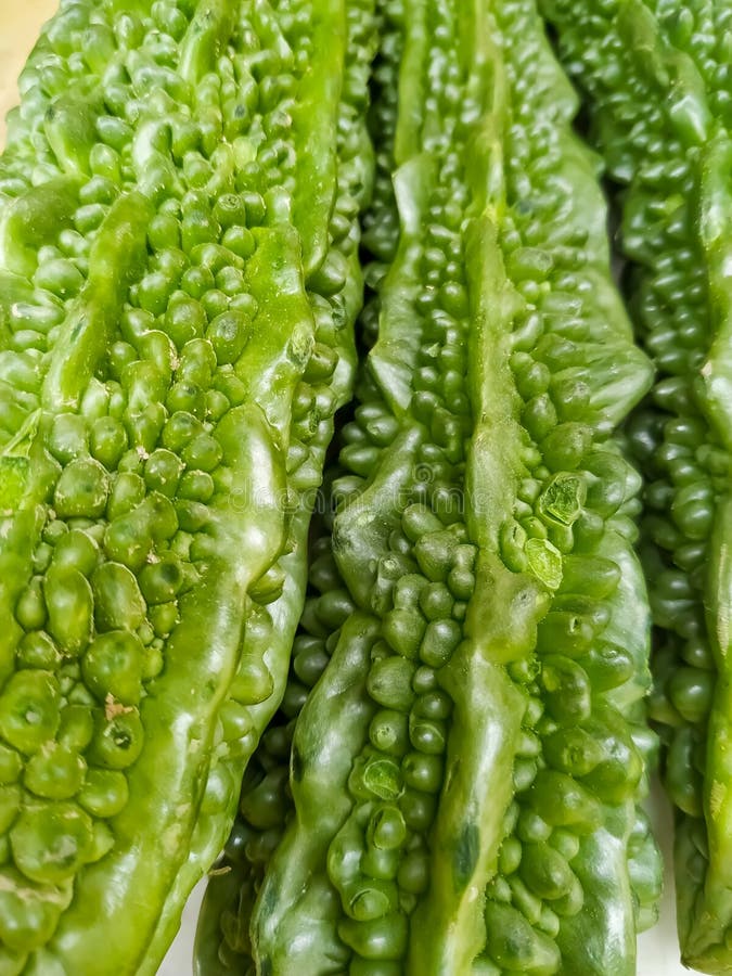 Fondo Fresco De La Comida Verde Amarga. Nepal Imagen de archivo ...