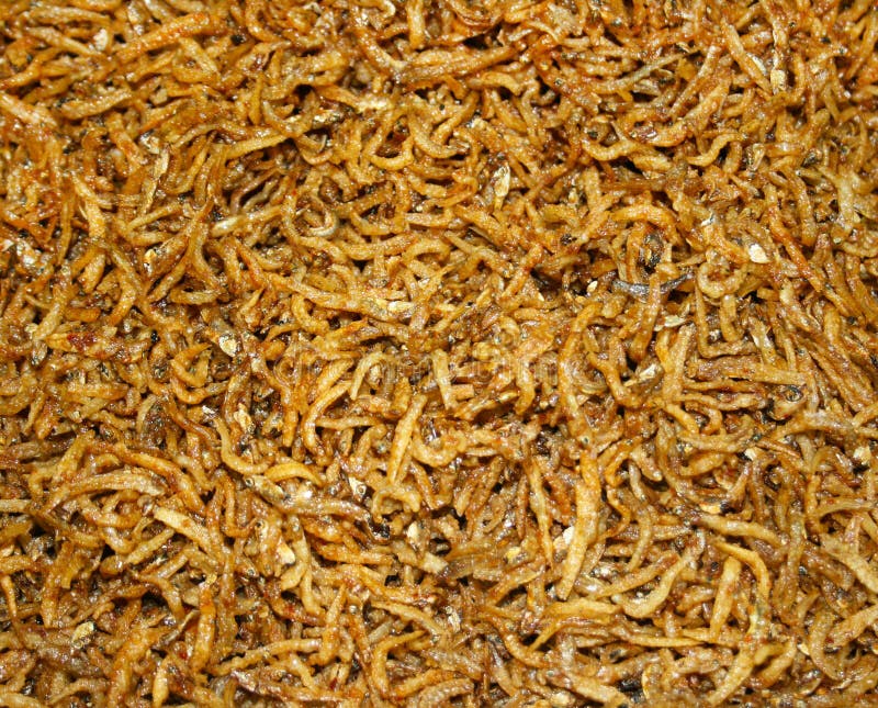 Lombrices De Carne En Vitrales De Vidrio, Gusanos De Carne En Un Fondo ...