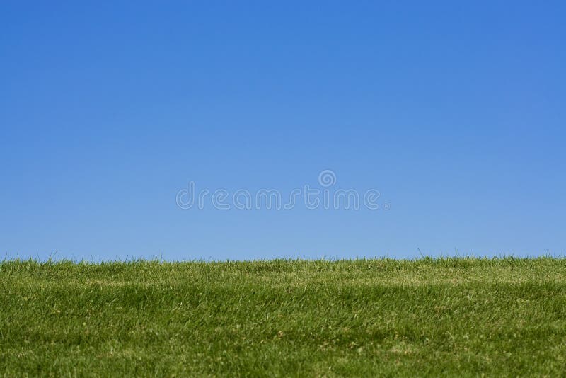 Fondo De Colina Cubierta De Hierba Imagen de archivo - Imagen de prado ...