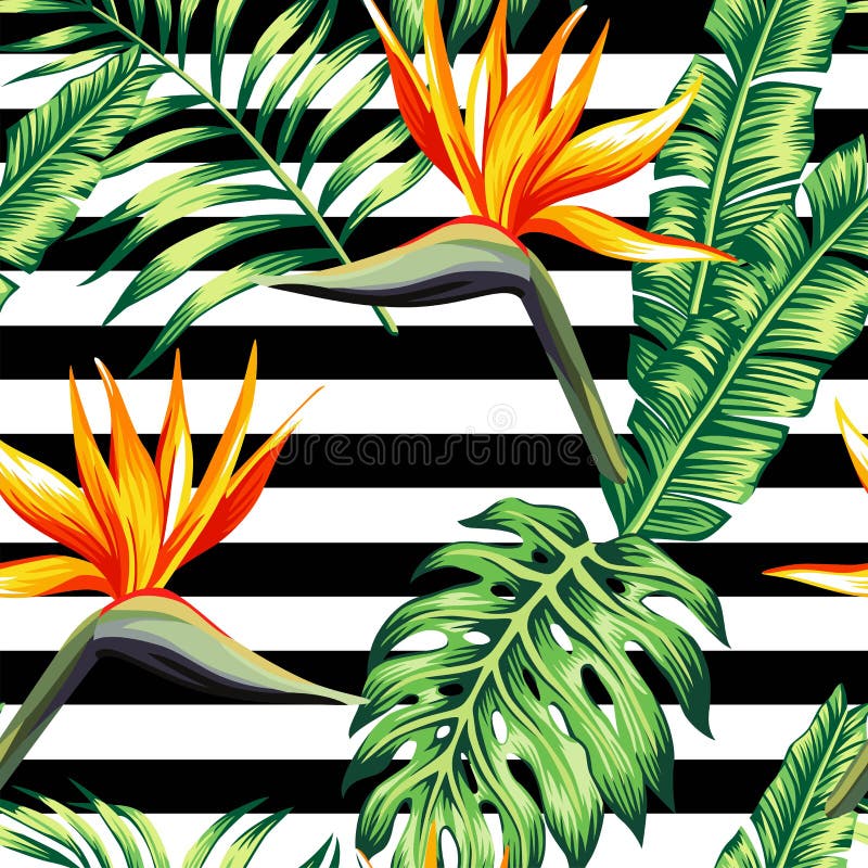 Fondo Inconsútil Floral Tropical Ilustración del Vector - Ilustración ...