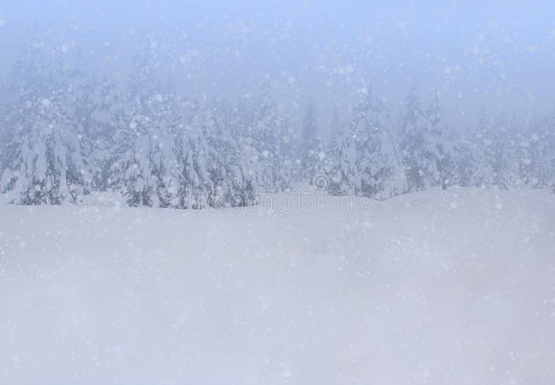 Fondo Invernal Con Bosque Nevado Imagen de archivo - Imagen de ...