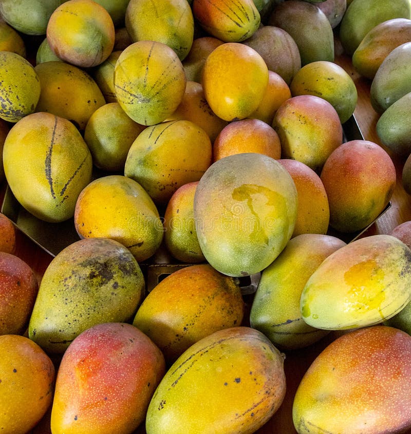Fondo mango fotografia stock. Immagine di calorie, manghi - 265288956