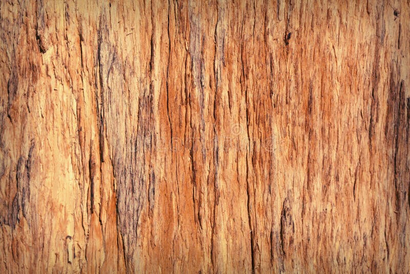 Legno duro marcio fotografia stock. Immagine di ruvido - 110779308