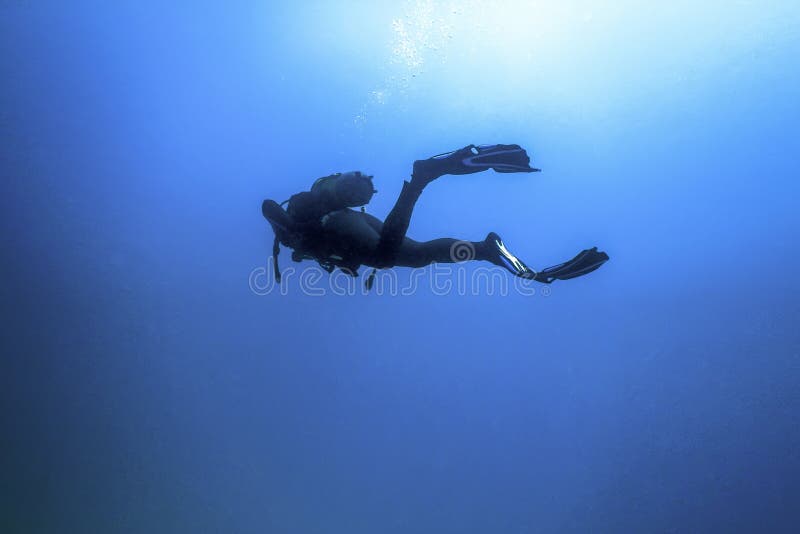 Fondo marino de buceo foto de archivo. Imagen de descubrimientos ...