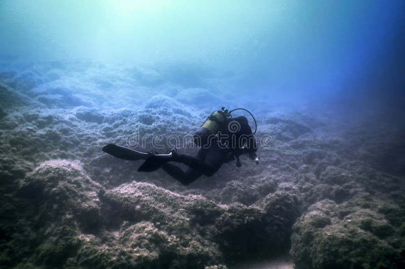 Fondo marino de buceo foto de archivo. Imagen de leva - 288403068