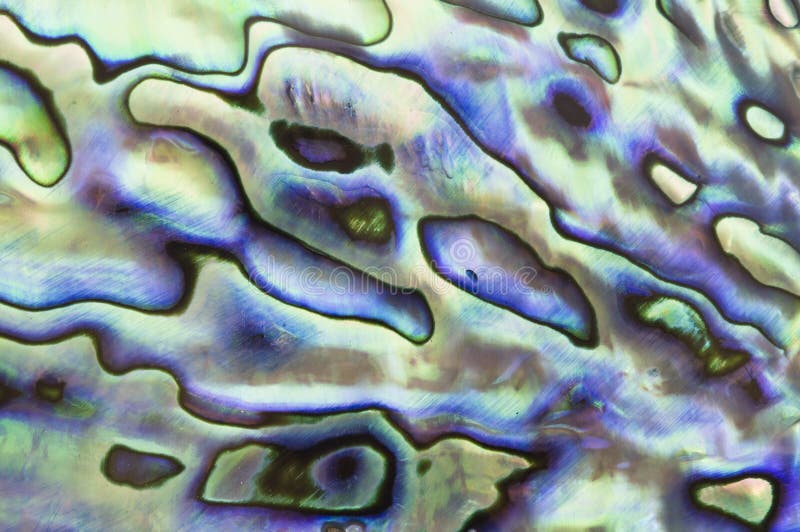 Textura Fantástica De La Hoja Imagen de archivo - Imagen de cierre ...