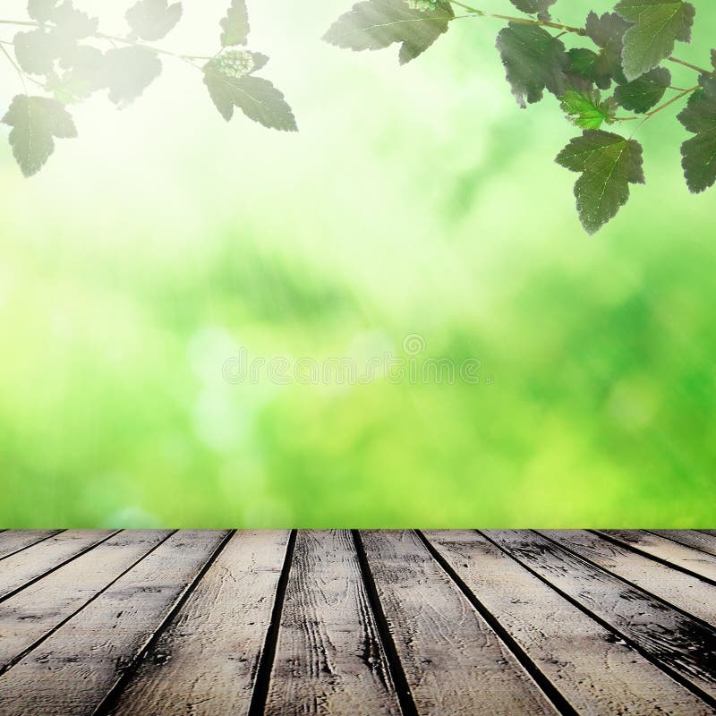 Fondo natural imagen de archivo. Imagen de fresco, modelo - 36859203