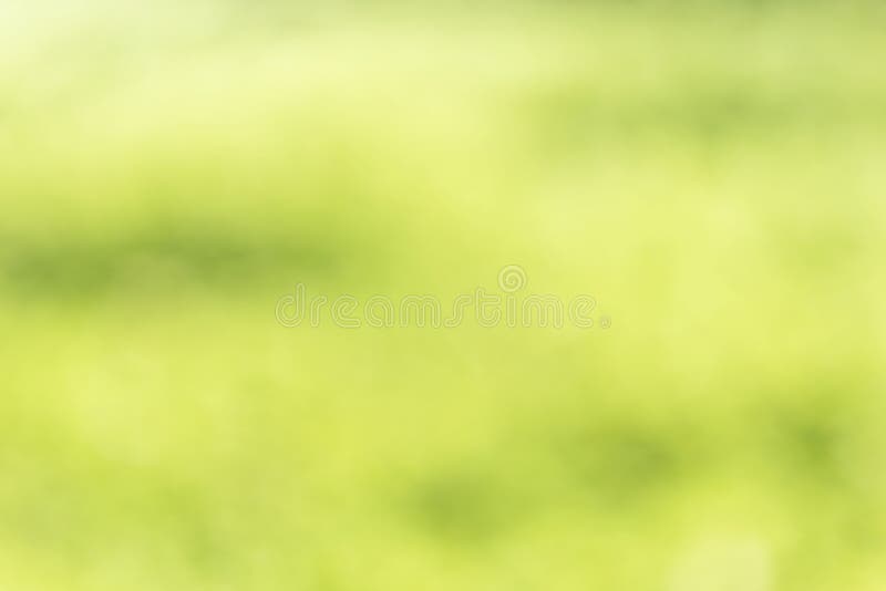 Fondo Natural De Césped Natural Y Natural Difuminado Imagen de archivo ...