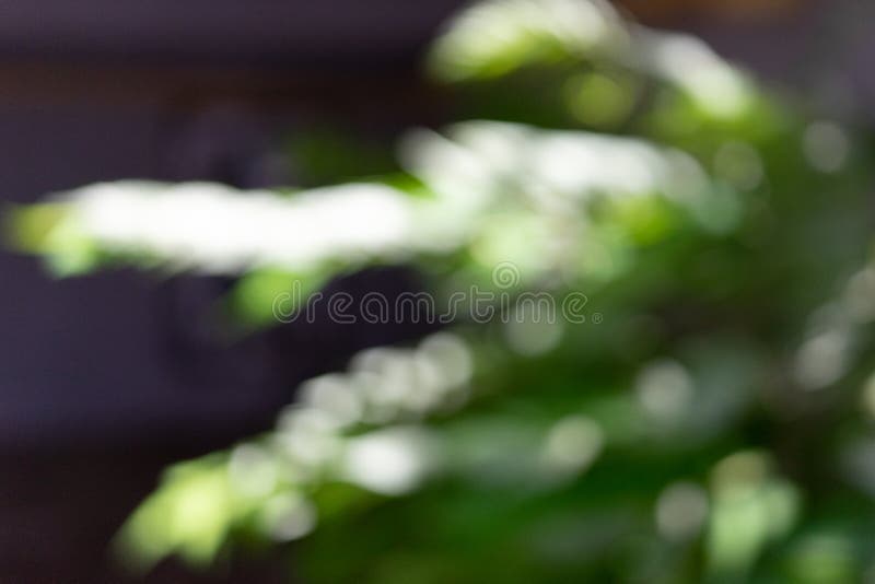 Fondo Negro Con Rayas Y Luces Verdes Abstractas Imagen de archivo ...