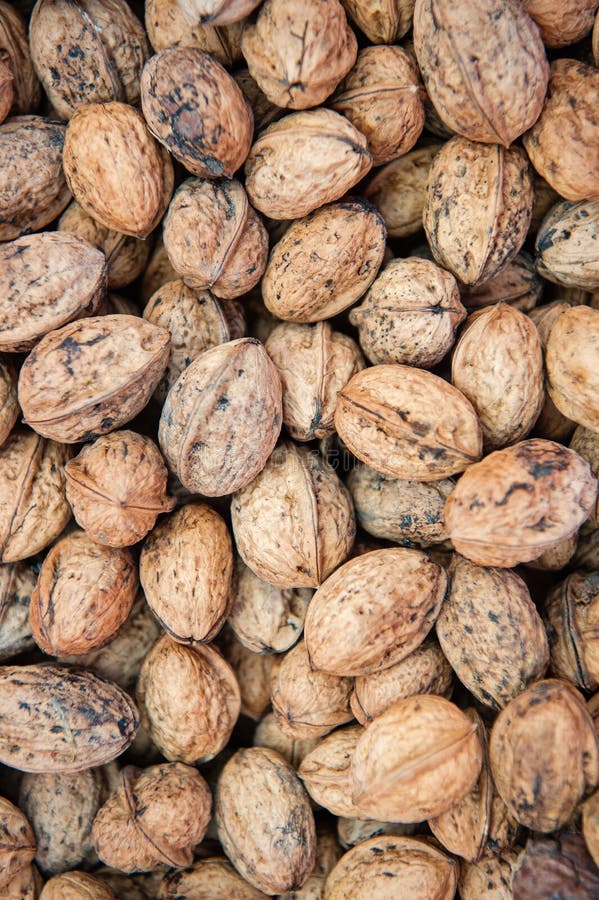 Fondo o textura de la nuez foto de archivo. Imagen de componente ...