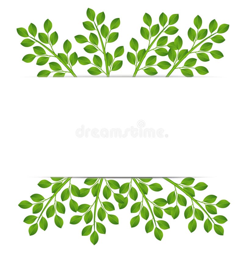 Fondo Para Un Diseño Con Las Ramas Verdes Ilustración del Vector ...