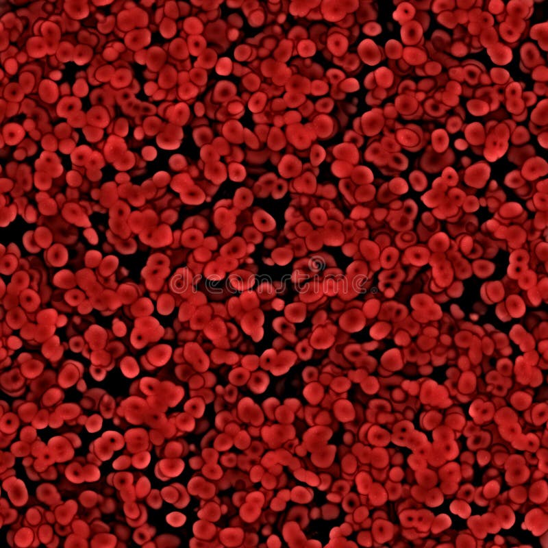 Fondo de glóbulos rojos foto de archivo. Imagen de extracto - 4337374