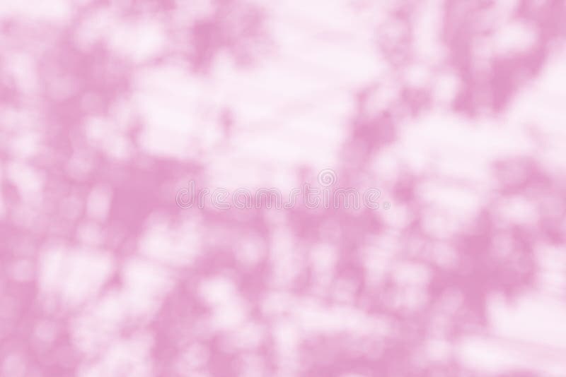 Fondo Rosa Borroso Con Brillo Para Mostrar Fondo Rosa Bokek Rosa Imagen ...