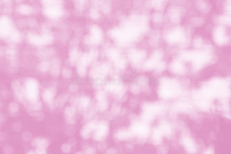 Fondo Rosa Borroso Con Brillo Para Mostrar Fondo Rosa Bokek Rosa Foto ...