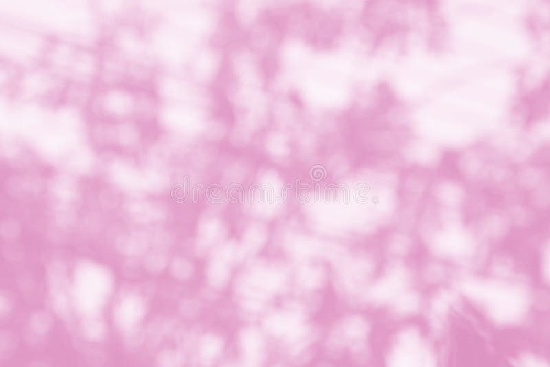 Fondo Rosa Borroso Con Brillo Para Mostrar Fondo Rosa Bokek Rosa Imagen ...