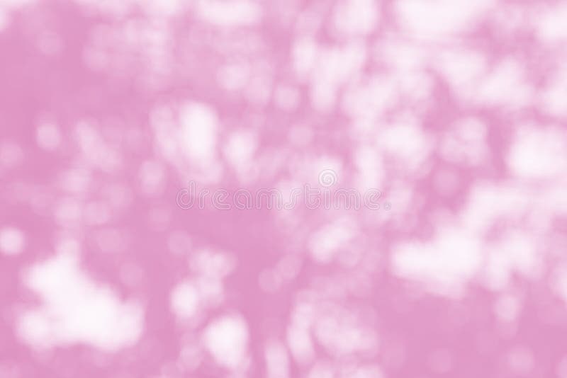 Fondo Rosa Borroso Con Brillo Para Mostrar Fondo Rosa Bokek Rosa Imagen ...
