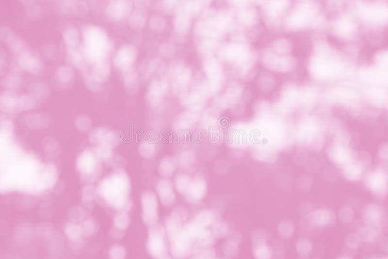 Fondo Rosa Borroso Con Brillo Para Mostrar Fondo Rosa Bokek Rosa Foto ...