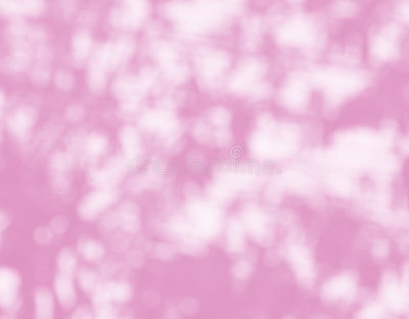 Fondo Rosa Borroso Con Brillo Para Mostrar Fondo Rosa Bokek Rosa Foto ...