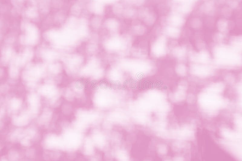 Fondo Rosa Borroso Con Brillo Para Mostrar Fondo Rosa Bokek Rosa Imagen ...