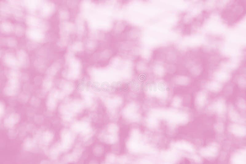 Fondo Rosa Borroso Con Brillo Para Mostrar Fondo Rosa Bokek Rosa Foto ...