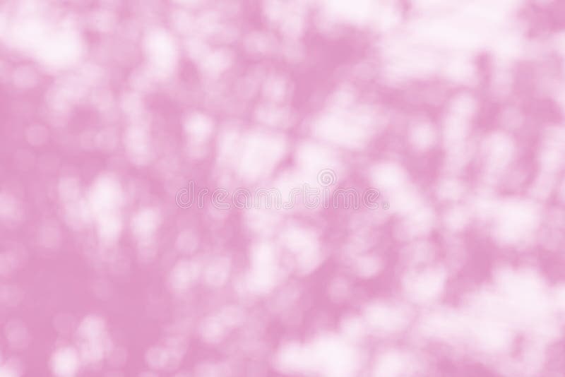 Fondo Rosa Borroso Con Brillo Para Mostrar Fondo Rosa Bokek Rosa Foto ...