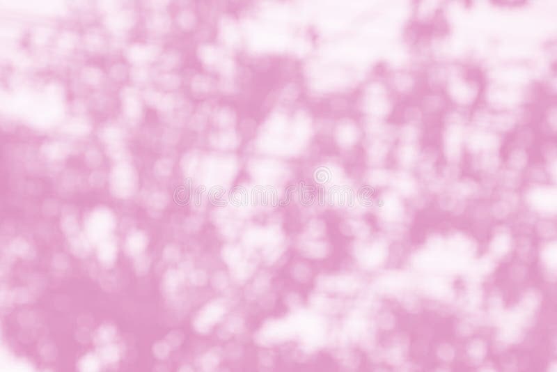 Fondo Rosa Borroso Con Brillo Para Mostrar Fondo Rosa Bokek Rosa Foto ...