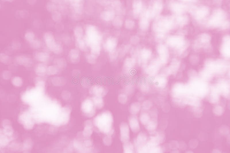 Fondo Rosa Borroso Con Brillo Para Mostrar Fondo Rosa Bokek Rosa Foto ...