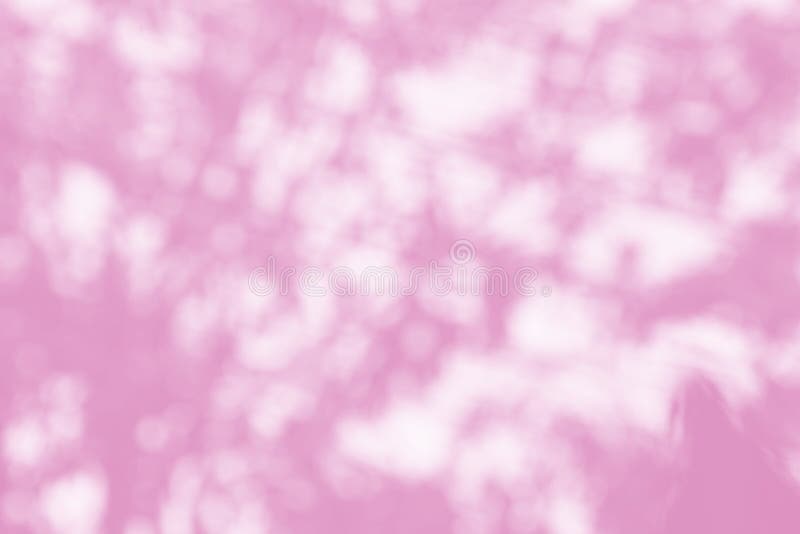 Fondo Rosa Borroso Con Brillo Para Mostrar Fondo Rosa Bokek Rosa Foto ...