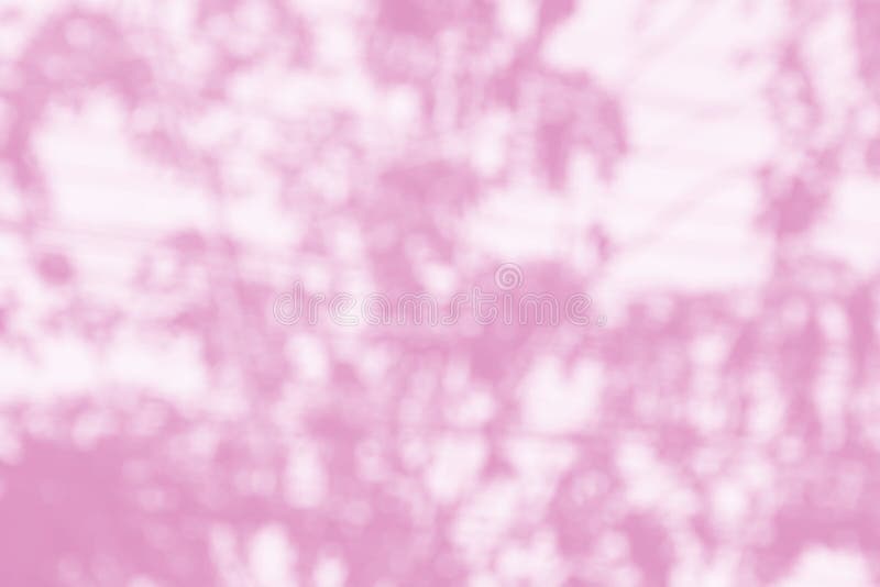 Fondo Rosa Borroso Con Brillo Para Mostrar Fondo Rosa Bokek Rosa Imagen ...