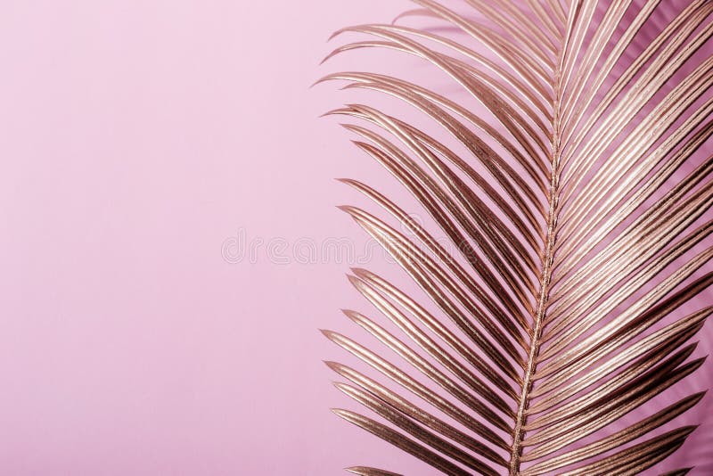 Fondo Rosa De Lujo Con Hoja Tropical Dorada Imagen de archivo - Imagen ...