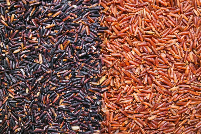 Fondo Rosso E Nero Del Riso Immagine Stock - Immagine di modello ...