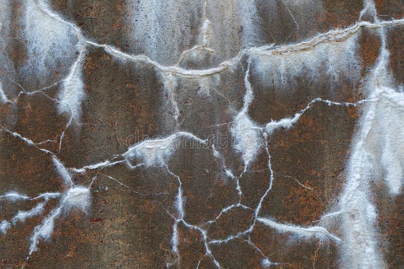 Fondo terroso foto de archivo. Imagen de travieso, colorido - 49108622