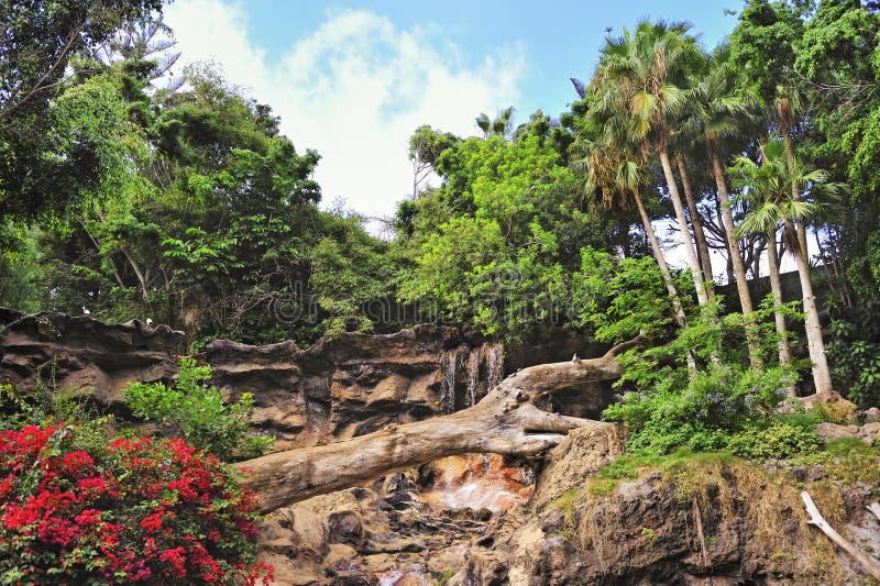 Fondo tropical imagen de archivo. Imagen de fondo, cascada - 10661109