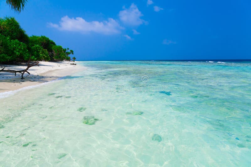 ¡Fondo Tropical 3 De Maldivas, Mar! Foto de archivo - Imagen de ...