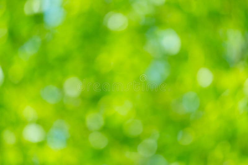 Fondo verde borroso imagen de archivo. Imagen de planta - 191070295