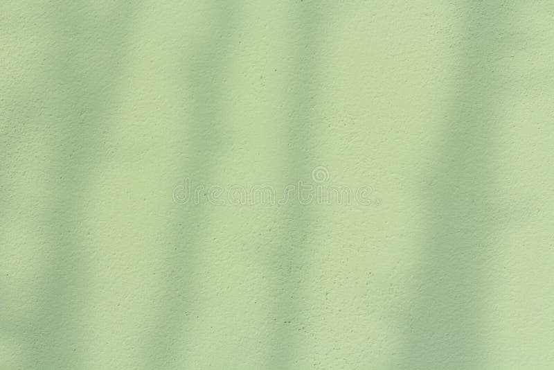 Fondo Verde Claro Con Silueta De Sombra Foto de archivo - Imagen de ...