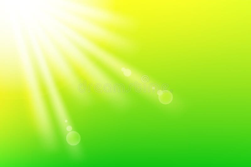 Fondo Verde Fresco Con Luz Del Sol Ilustración del Vector - Ilustración ...