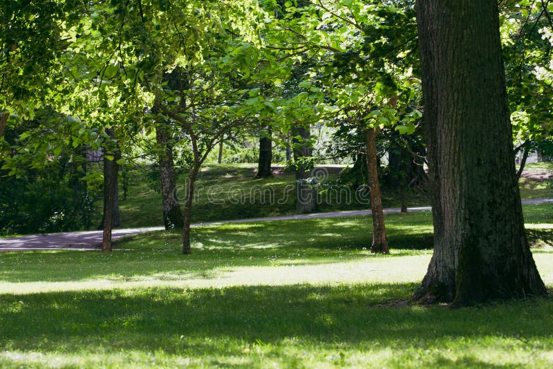 Fondo Verde Parque De La Ciudad Foto de archivo - Imagen de comodidad ...
