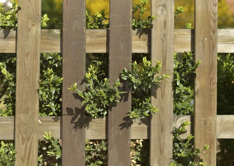 187 Fons Stock Photos - Free & Royalty-Free Stock Photos from Dreamstime