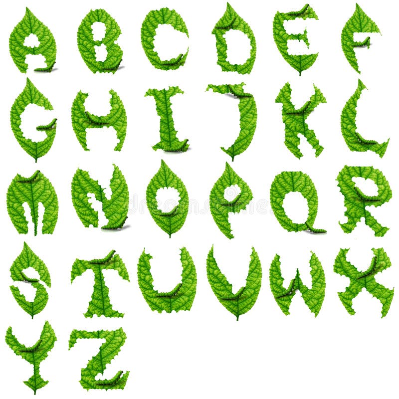 Font Design Inspired by Caterpillars Leaf Letters Stock Illustration ...
