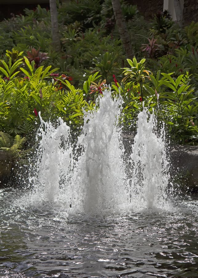 Fontein in tropische tuin stock foto. Image of tuinieren - 65586218