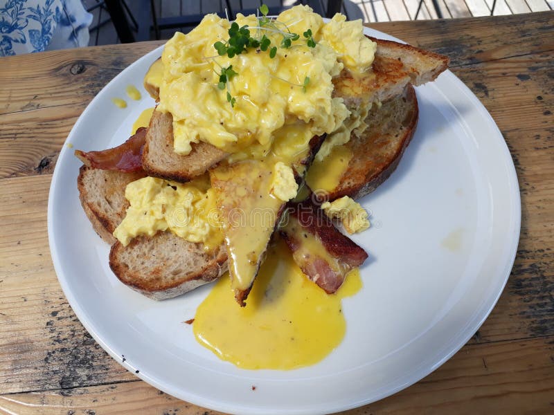 Food stock image. Image of breakfast, hungry, scrambled - 159562521