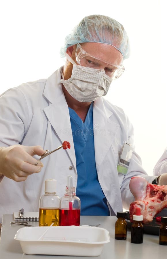 Food and Agricultural Researcher Stock Image - Image of biochemical ...