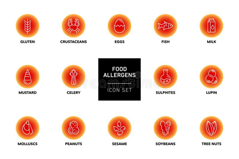 Food Allergens Vector Icons Set Stock Vector - Illustration of wheat ...
