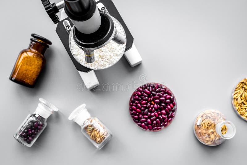 Food Analysis Process. Rice Under Microscope, Red Beans and Wheat in ...