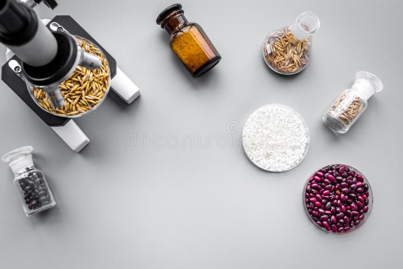 Food Analysis Process. Wheat Under Microscope, Rice and Red Beans in ...