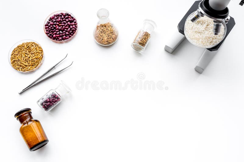 Food Analysis. Rice Under the Microscope on White Background Top View ...